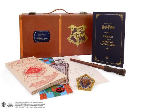 Harry potter trunk store