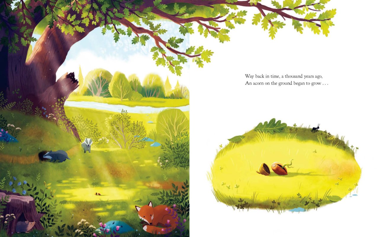 The Oak Tree by Julia Donaldson, Victoria Sandøy | HodgesFiggis